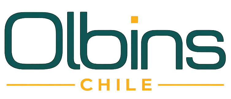 Olbins Chile | Bins y pallets de madera en Valdivia — Almacenamiento ...